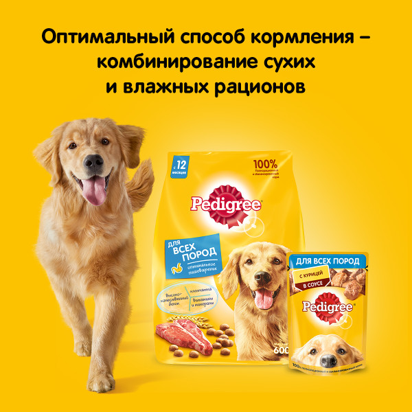 Сухой корм для взрослых собак всех пород PEDIGREE с говядиной 2,2 кг ...
