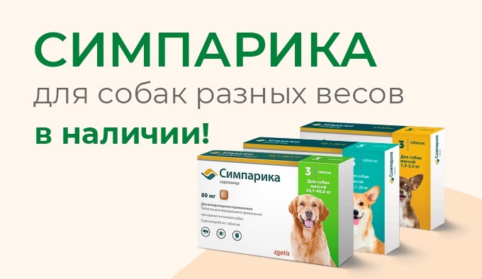 04.07.24: Симпарика для собак разных весов в наличии! | Заповедник