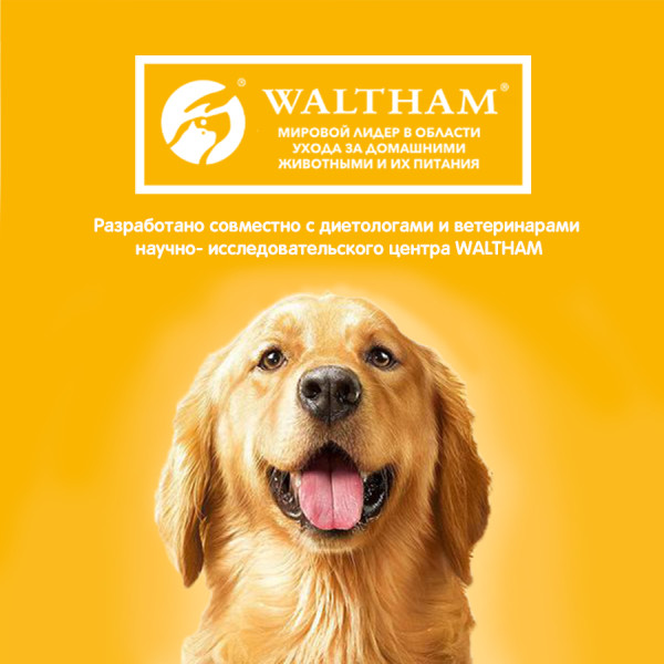Сухой корм для взрослых собак всех пород PEDIGREE с говядиной 2,2 кг ...